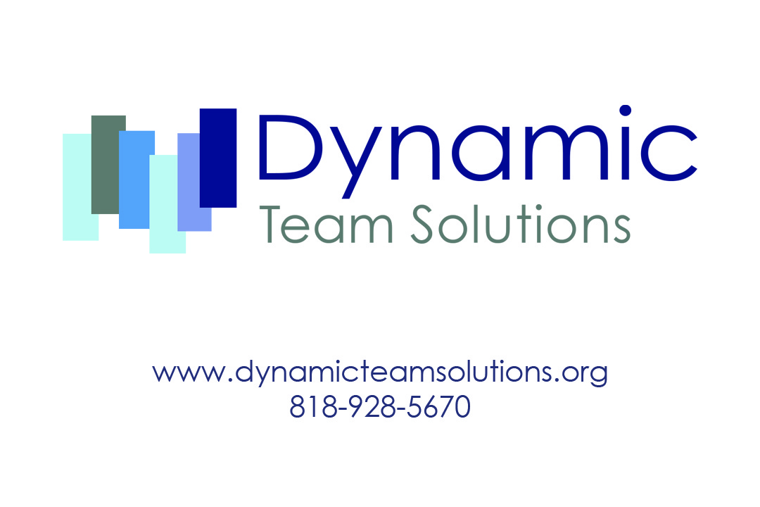 DTS – Dynamic Team Solutions